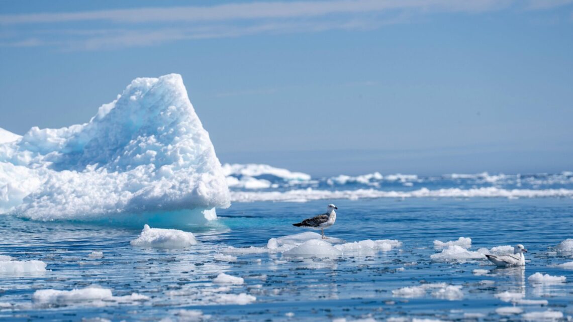 Job Opportunity: Researcher for the SUSTAIN-ARCTIC project – DL: 5 July ...